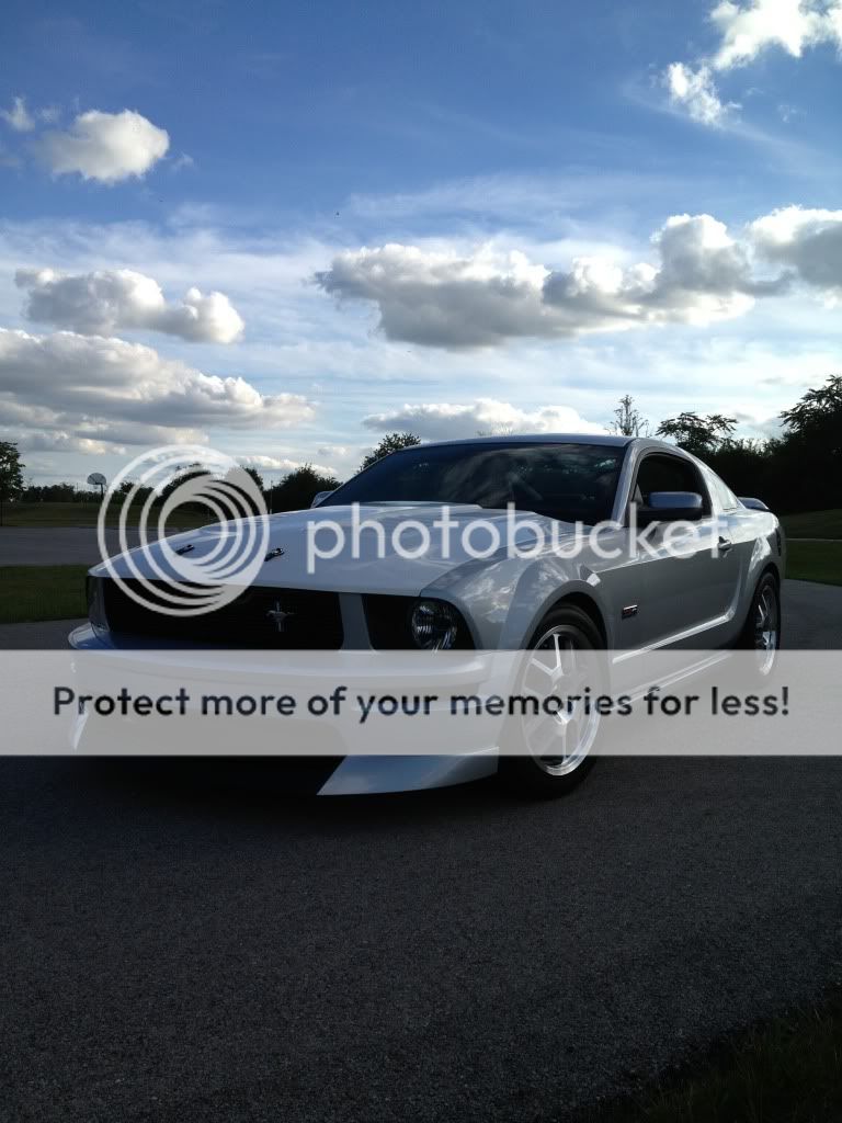 Vinyl wrap | S197 Mustang Forum - S197Forum.com